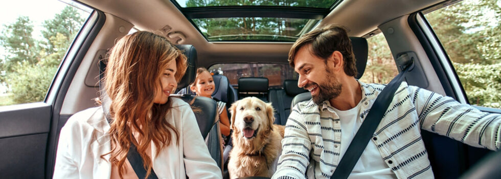 Auto Insurance - W. Gochis Insurance Agency, Inc